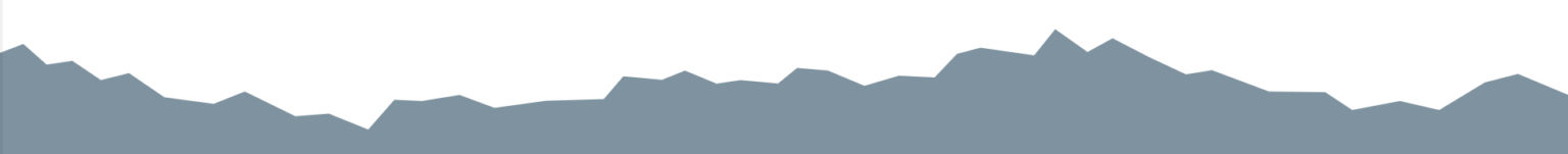 Our Process – Vanguard Group